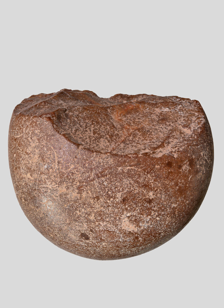 Preistoria e protostoria - mann napoli|museo archeologico di napoli