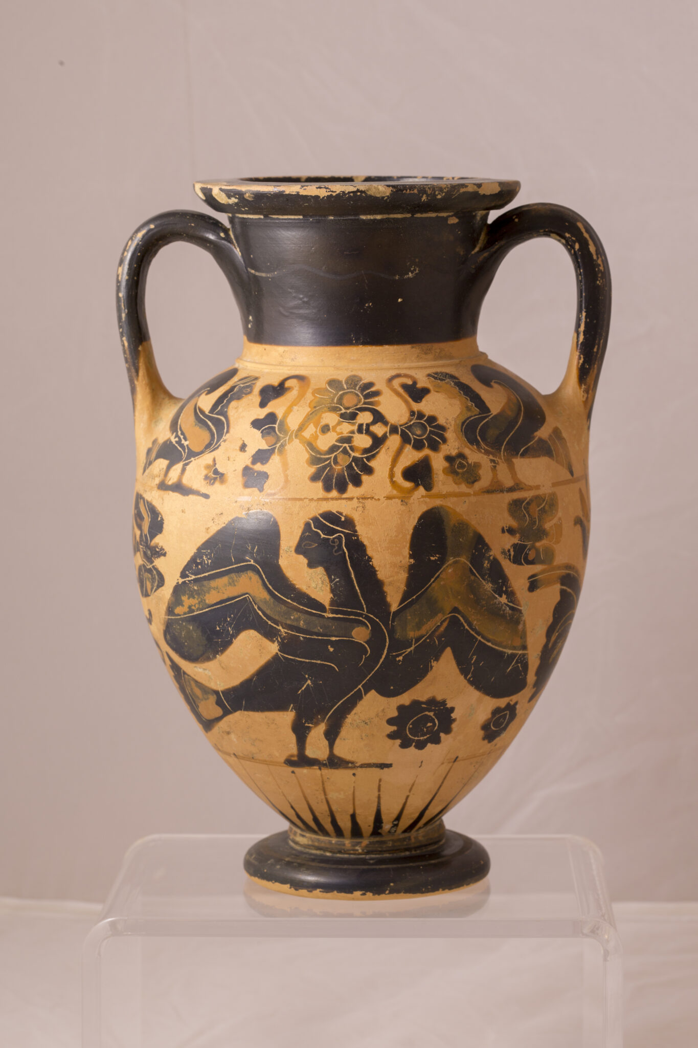 Parthenope. La Sirena e la città - mann napoli|museo archeologico di napoli